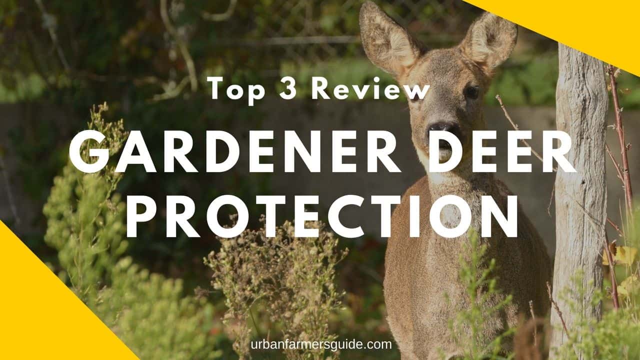 Secure Your Garden From Deer: 3 Gardener Deer Fencing Review