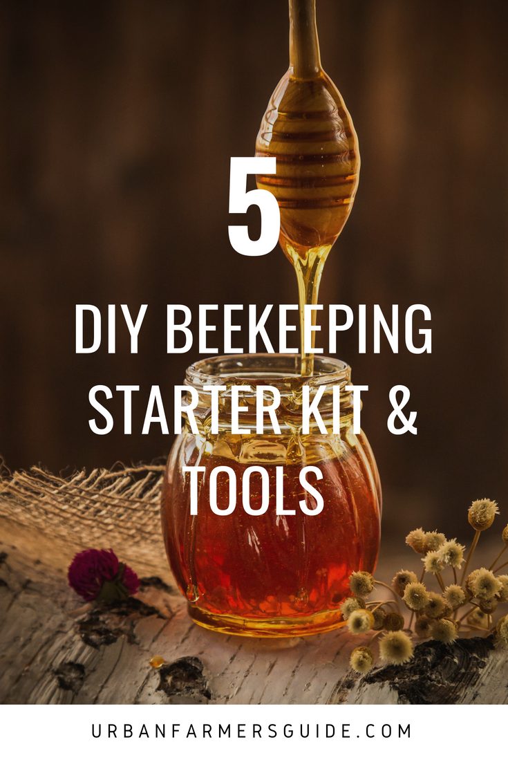 The Best 5 DIY Beekeeping Starter Kit & Tools – Review – Urban Farming ...