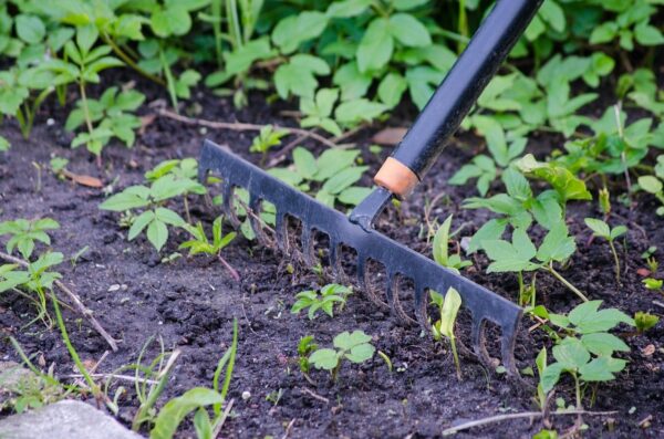 The most 20 Common Gardening Tools with Names, Use and Pictures – Urban ...