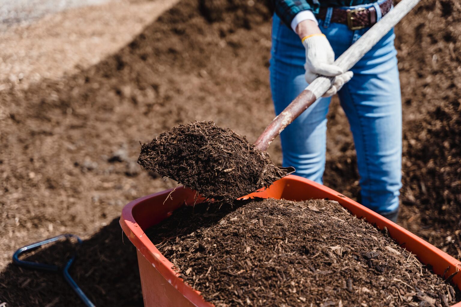 The Beginner Guide To Composting : Composting 101