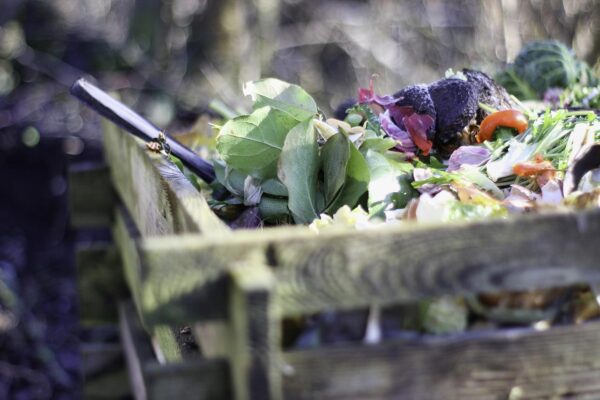 The Beginner Guide To Composting : Composting 101