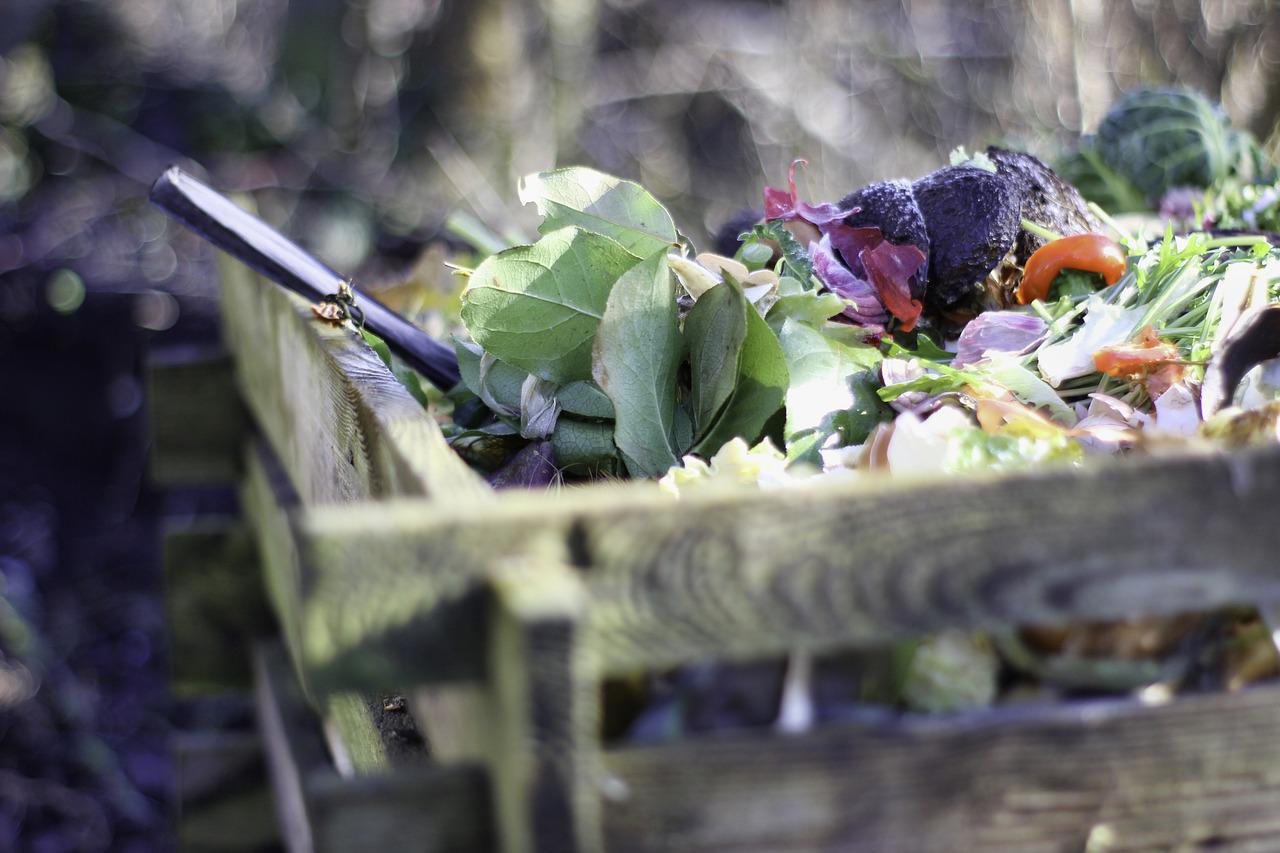 The Beginner Guide To Composting : Composting 101