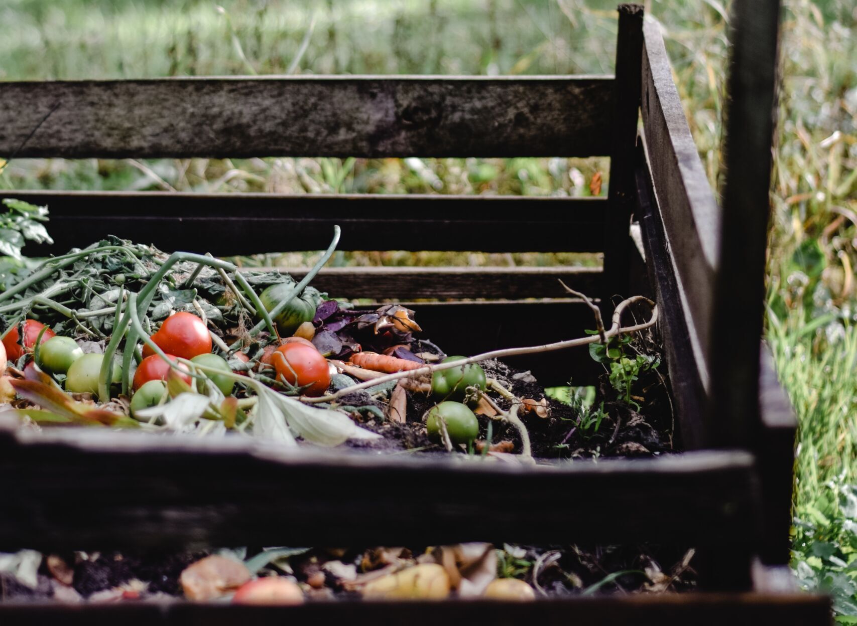 The Beginner Guide To Composting : Composting 101